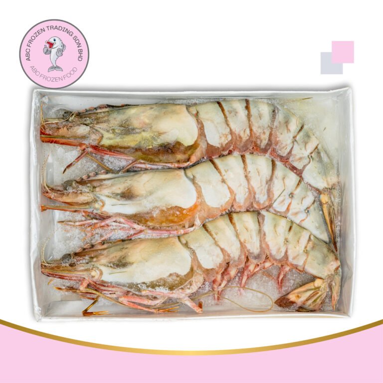 Frozen Tiger Prawn Hoso 2/4 – ABC Frozen